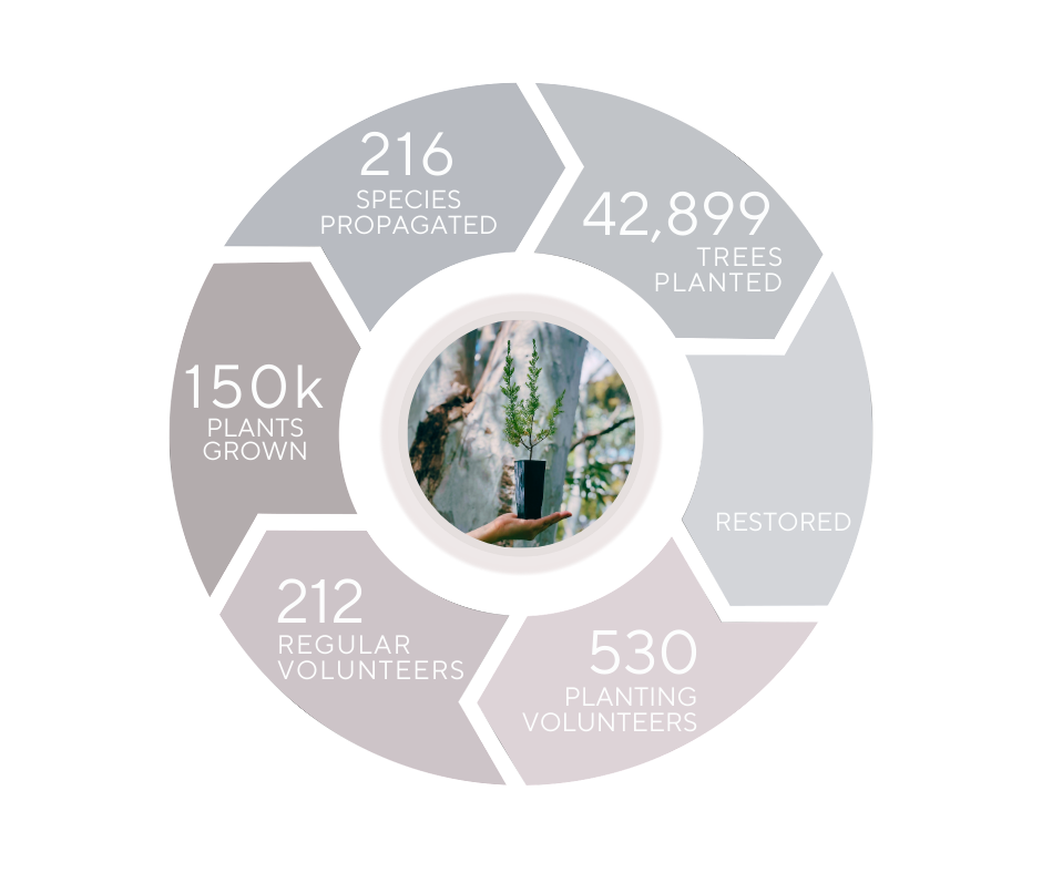 Trillion Trees Impact Report 2025